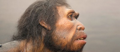 Lucy, l'australopiteco più famoso del mondo - Il Post