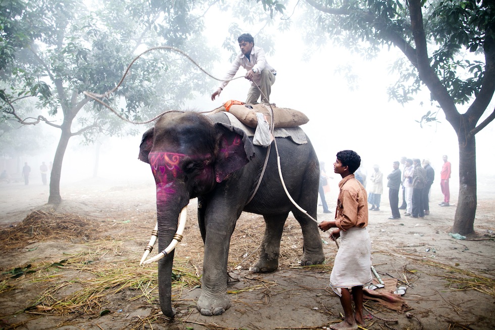 La grande fiera di Sonepur Mela - Il Post