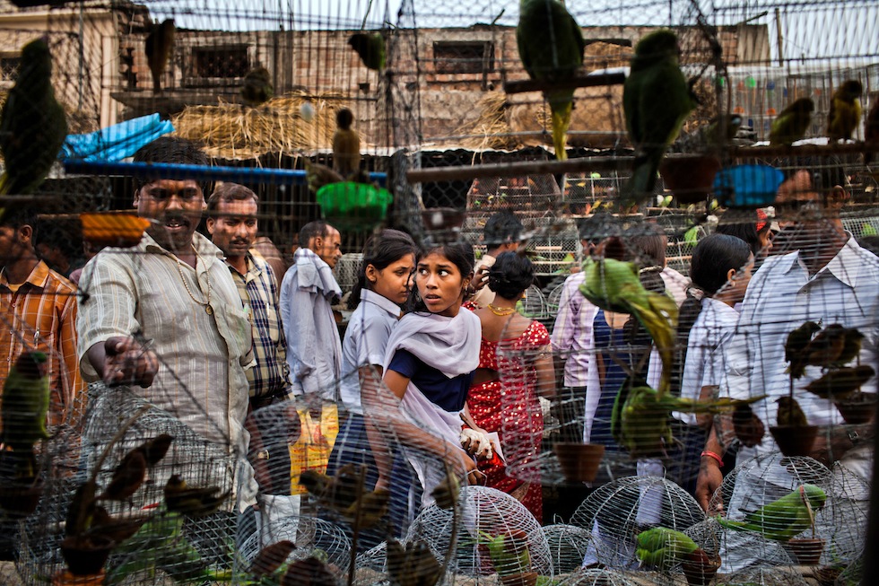 La grande fiera di Sonepur Mela - Il Post