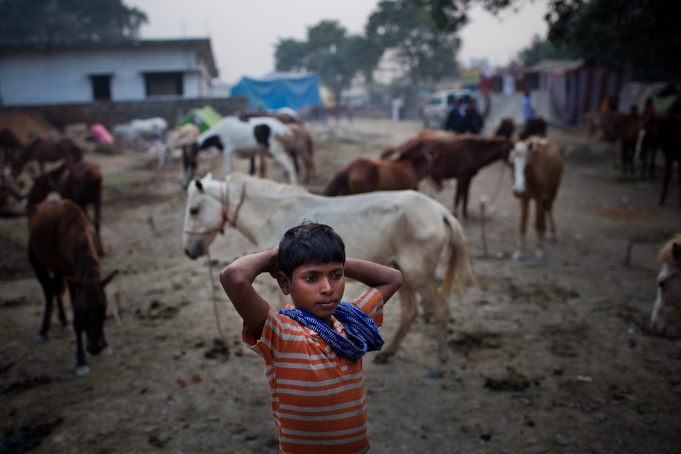 La grande fiera di Sonepur Mela - Il Post