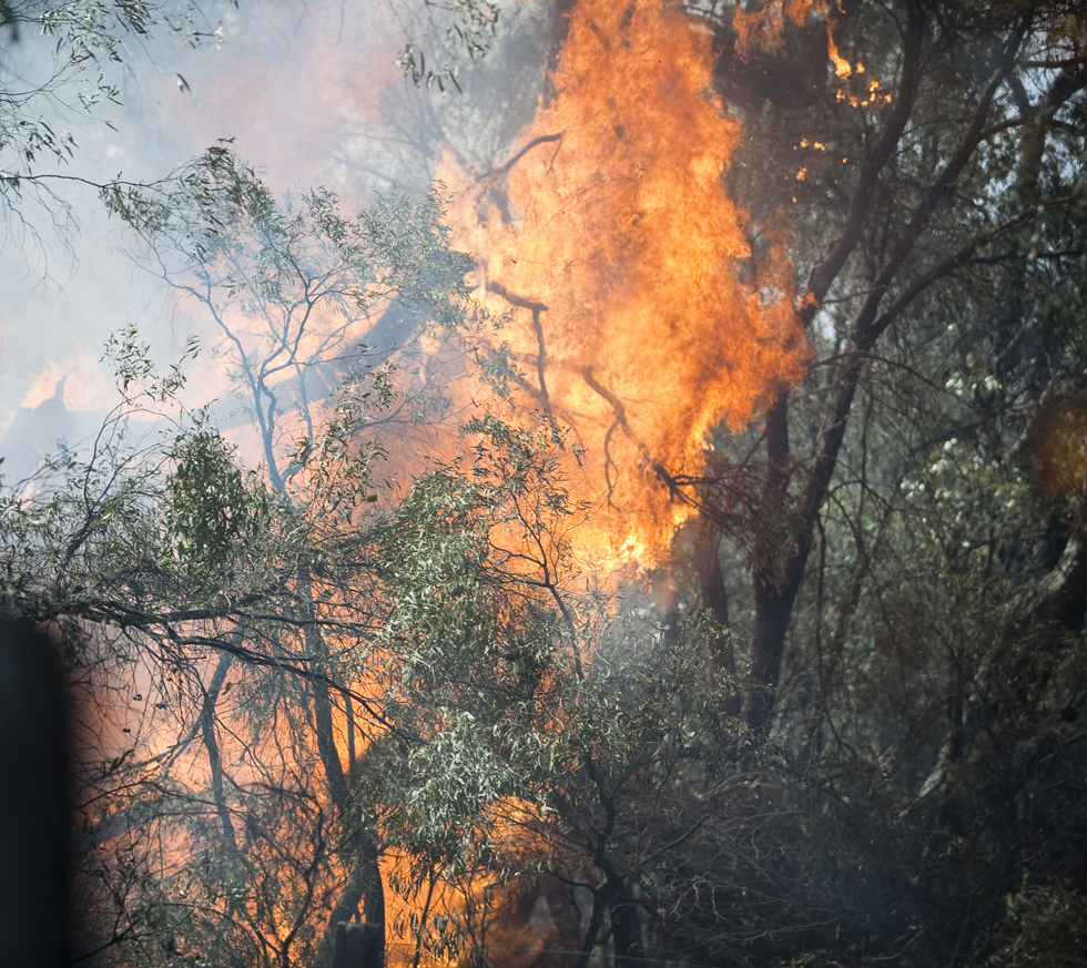 L’incendio nell’Australia occidentale - Il Post