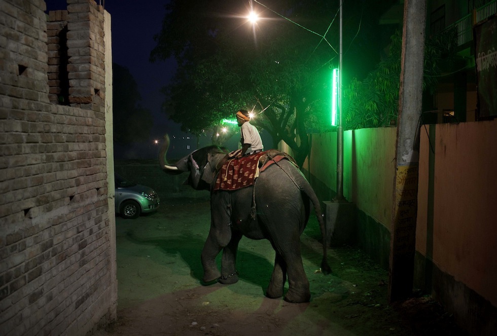 La grande fiera di Sonepur Mela - Il Post