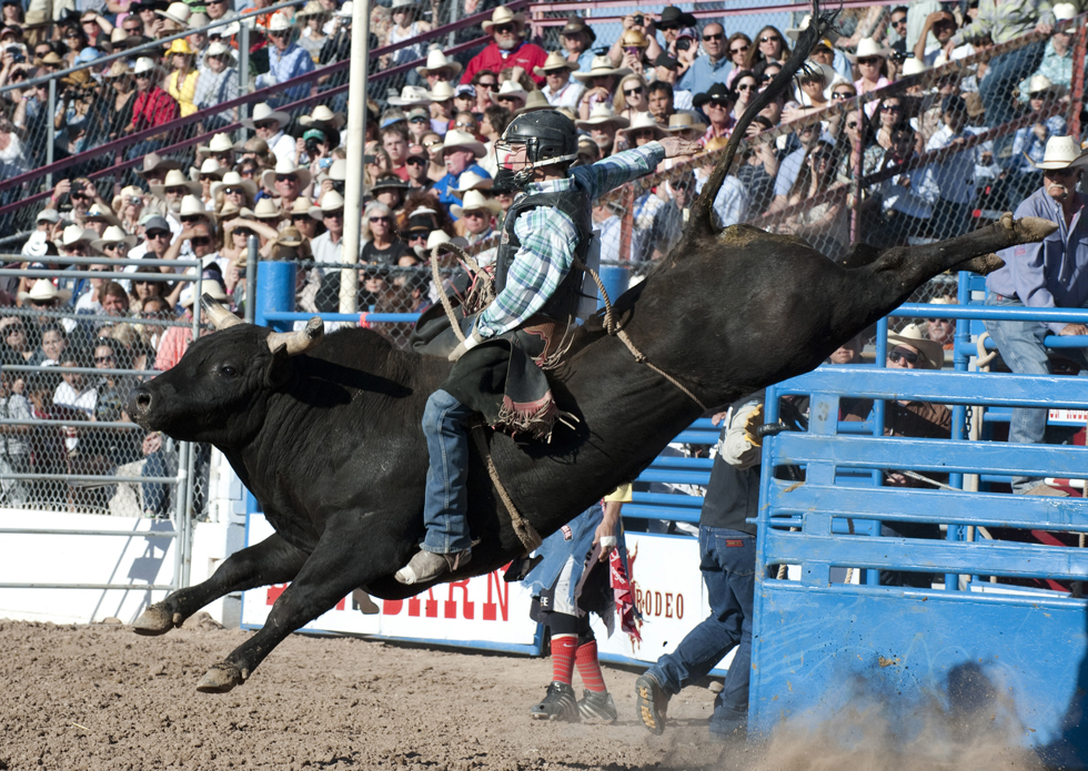 Oscar honoris causa - Il Post