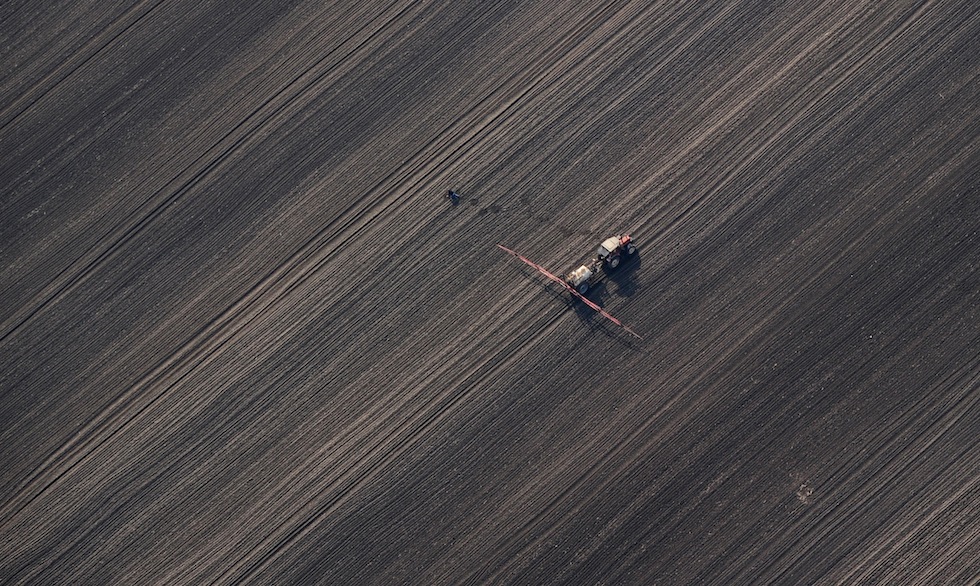 Volare (foto) - Il Post