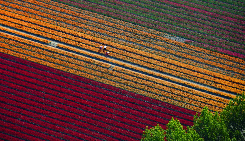Volare (foto) - Il Post
