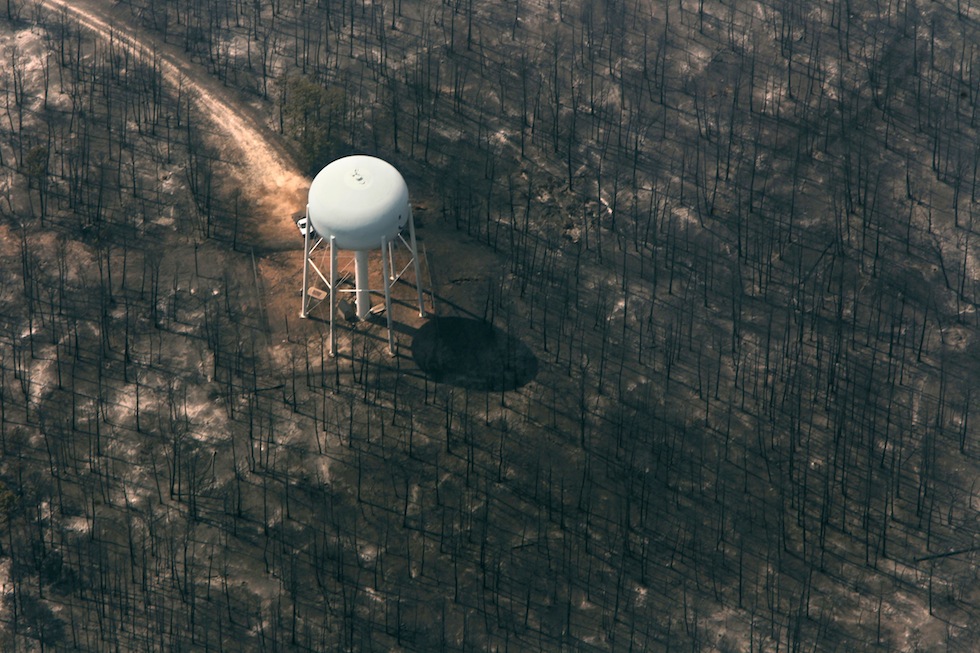 Volare (foto) - Il Post