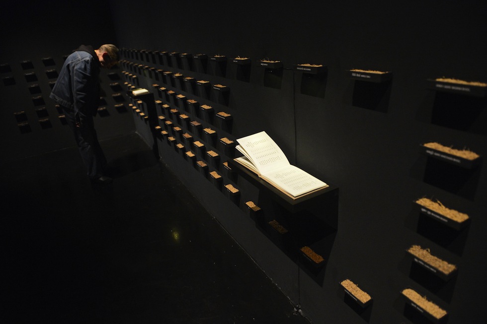 Le foto di dOCUMENTA (13) - Il Post