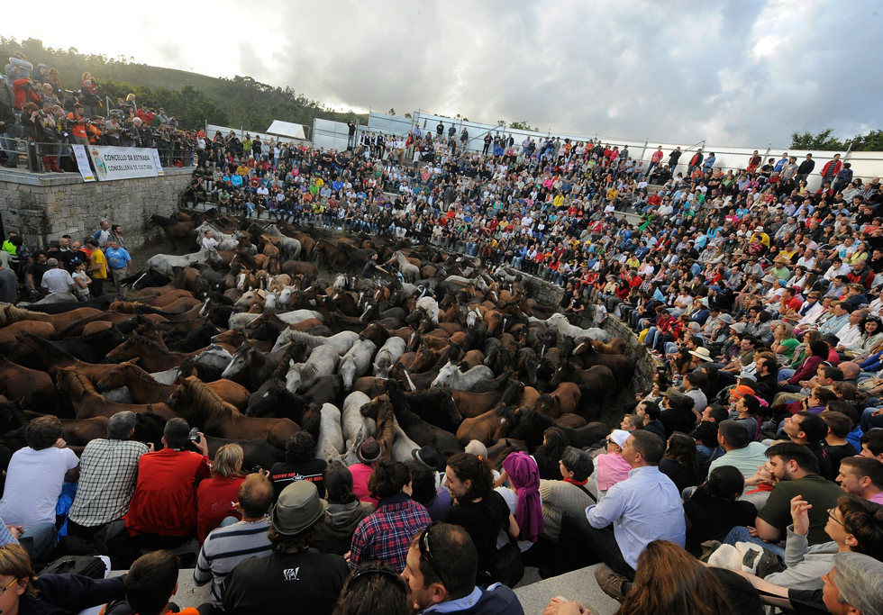 Gente che salta sui cavalli - Il Post