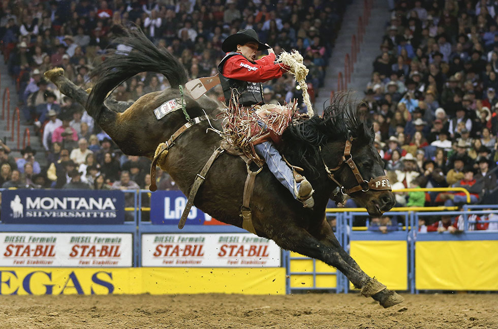 Le foto del National Finals Rodeo - Il Post