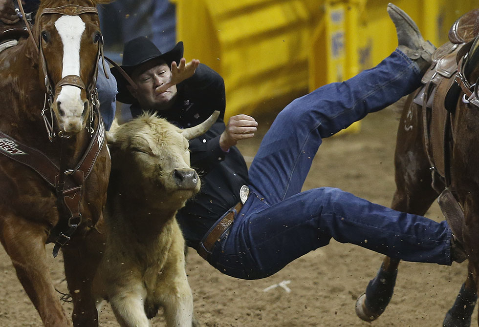 Le foto del National Finals Rodeo - Il Post