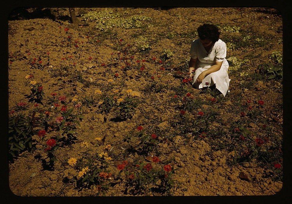 55 Great Old American Color Photographs - Il Post