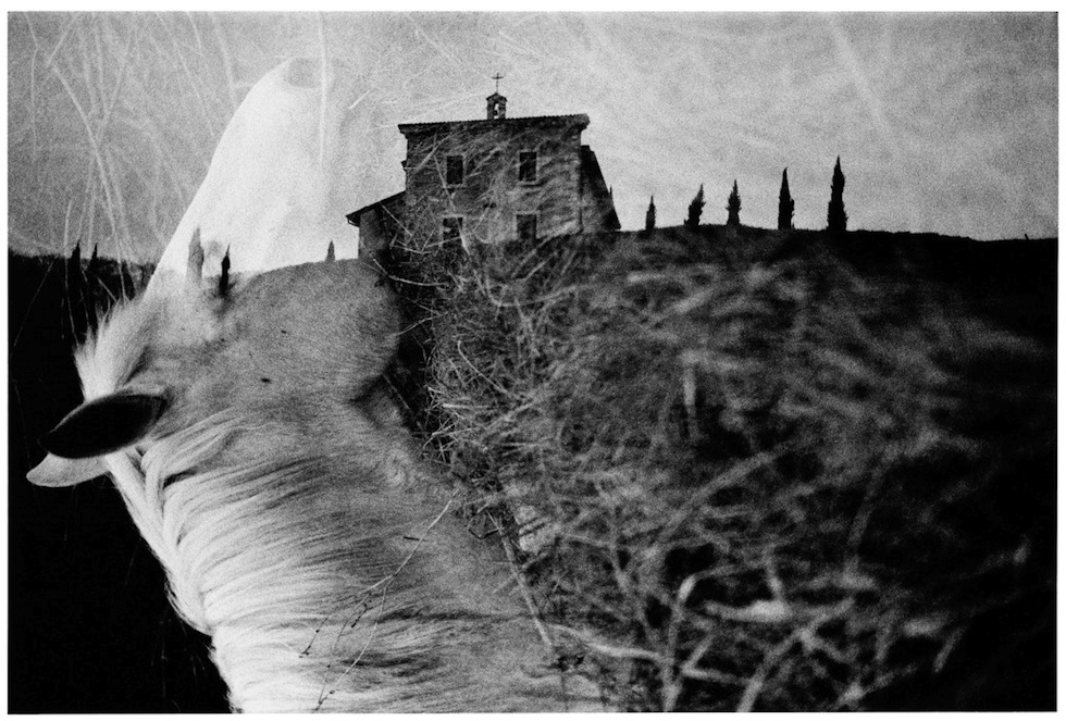 Il festival di fotografia di Savignano - Il Post