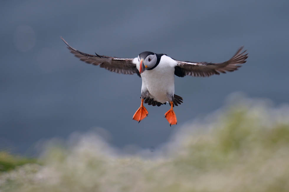 Best of bestie - Il Post