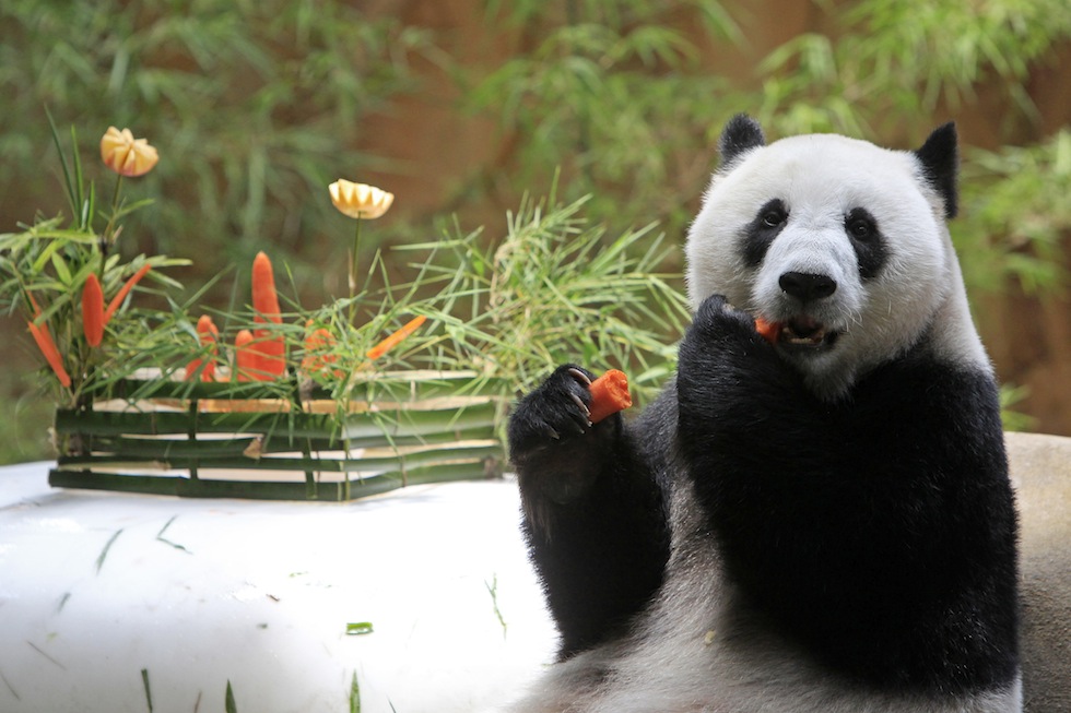 Sabato 23 agosto - Il Post