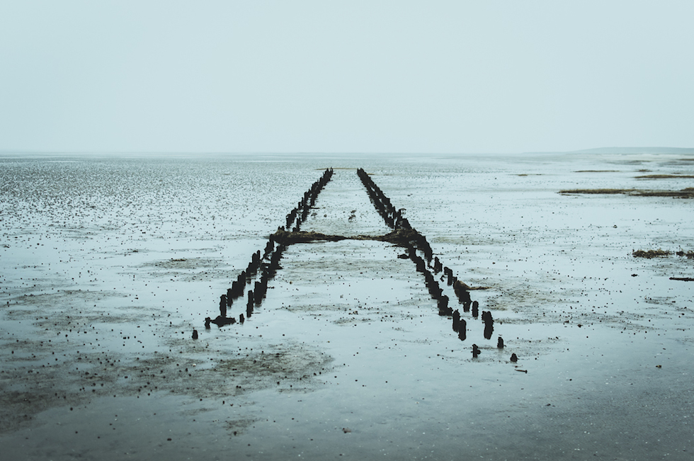 Il mare dei Wadden - Il Post