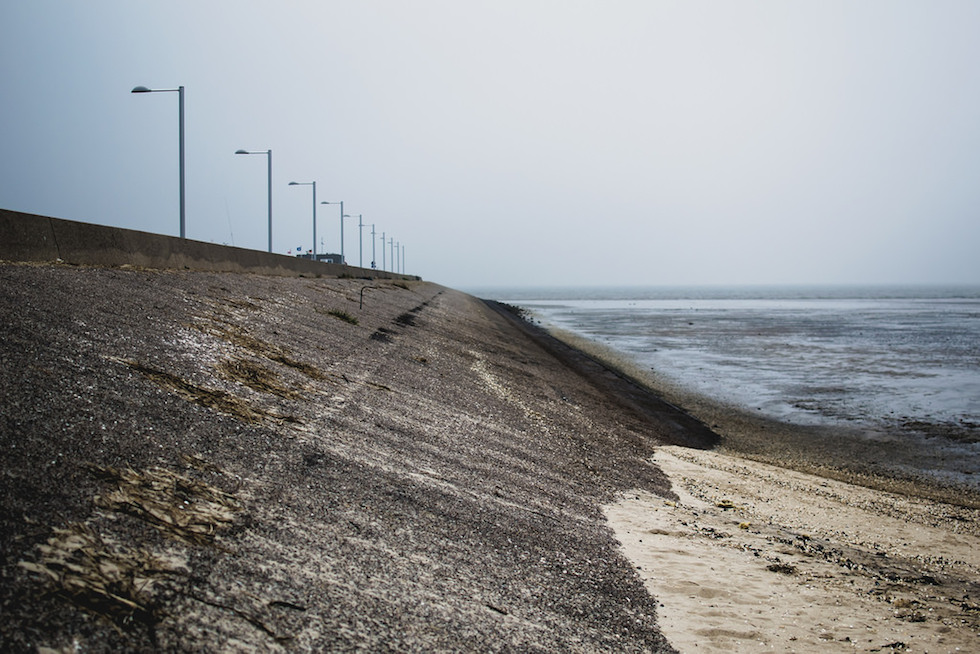 Il mare dei Wadden - Il Post
