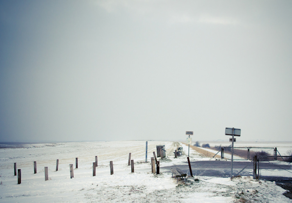 Il mare dei Wadden - Il Post