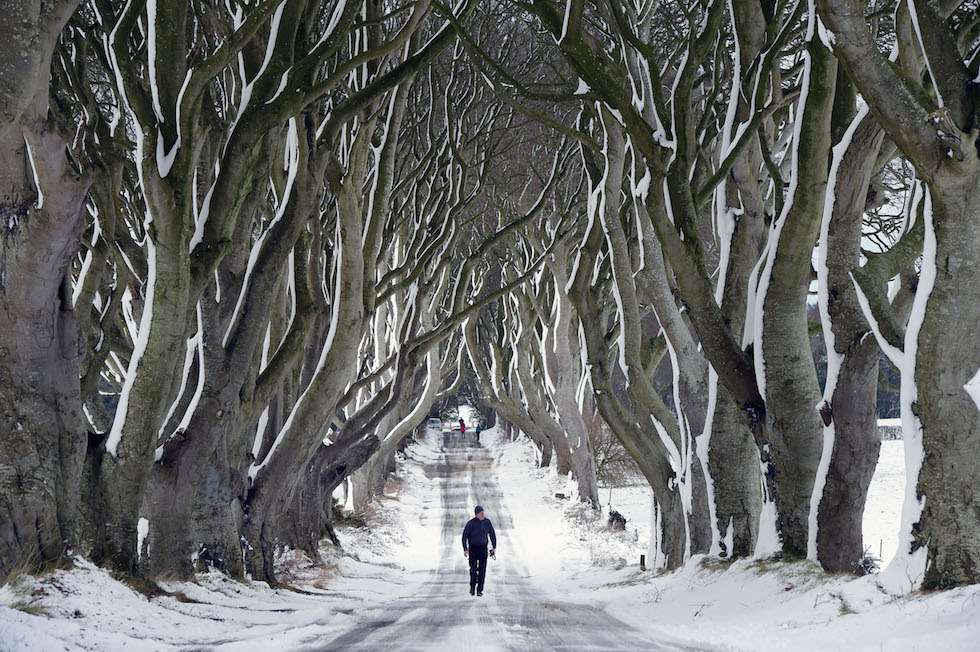 Let it snow - Il Post