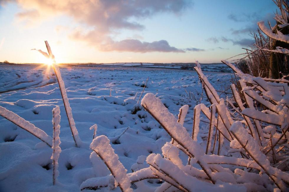 Let it snow - Il Post