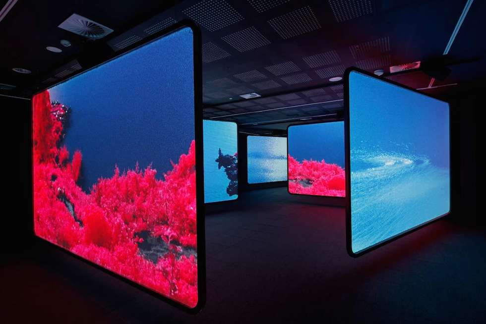 Congo rosso - Il Post