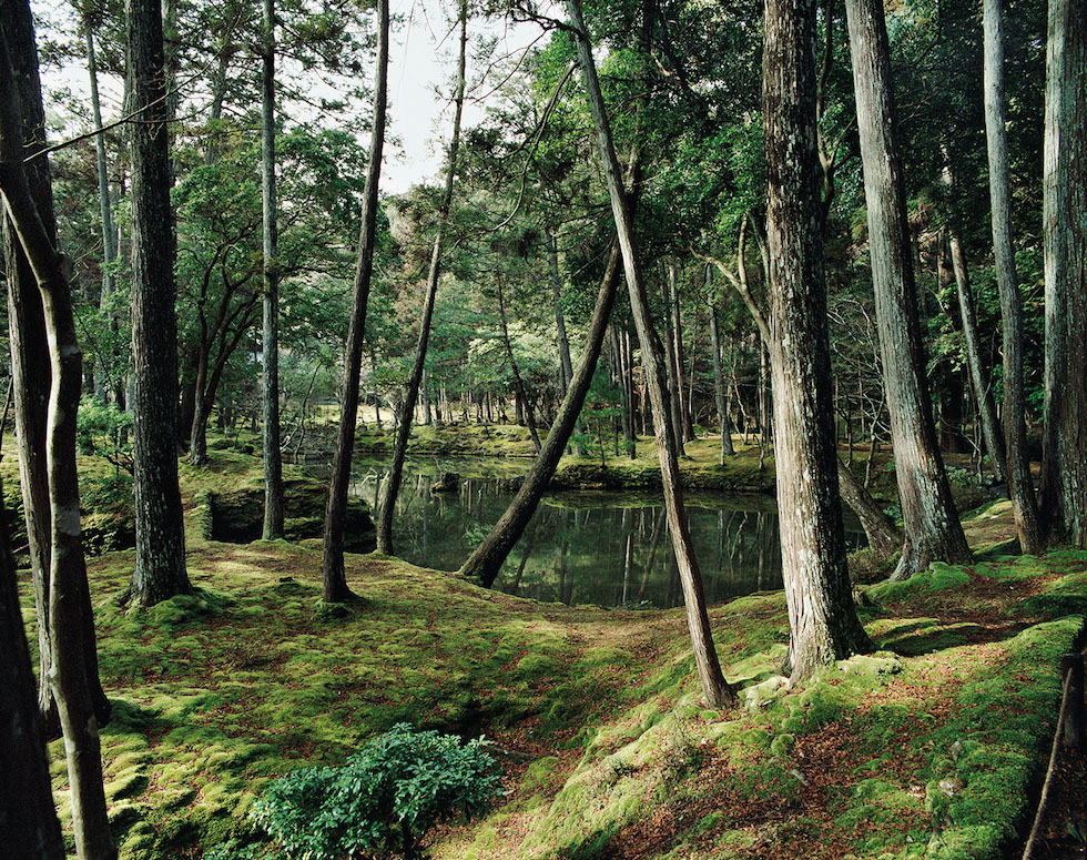 I templi buddhisti di Kyoto - Il Post