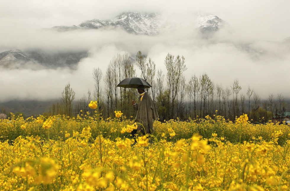 La primavera nelle fotografie - Il Post