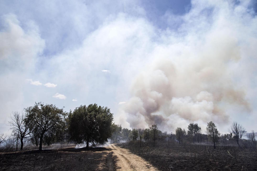Le foto dell'incendio di martedì a Roma - Il Post