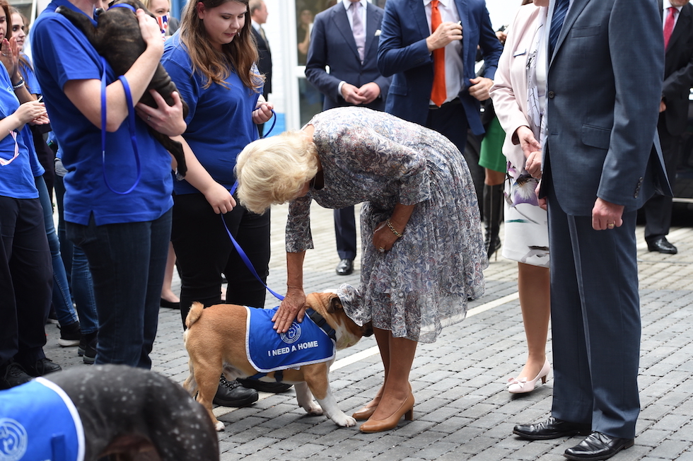 Celebripost di venerdì 9 settembre 2016 - Il Post