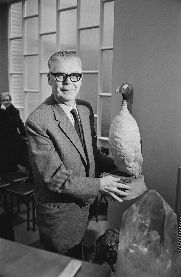 Animali che non lo sono più - Il Post