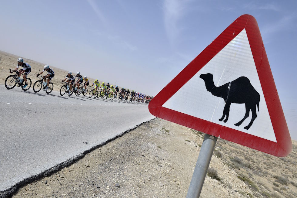 Segnali stradali da collezione - Il Post