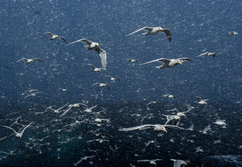 Come le grandi storie di mare