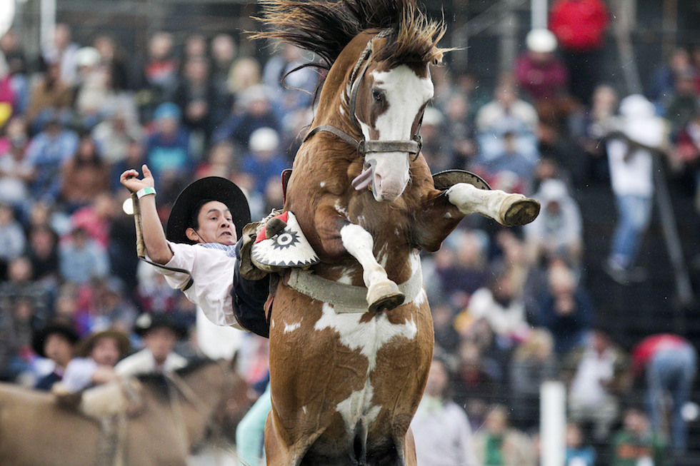 Scene da un vero rodeo - Il Post