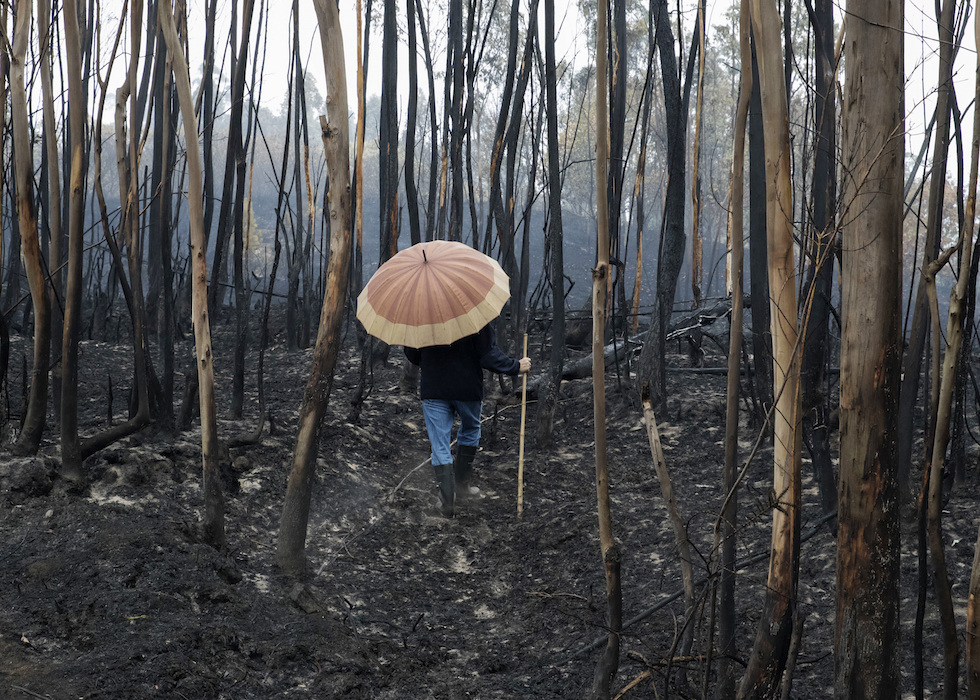 Le foto dei grandi incendi in Portogallo e Spagna - Il Post