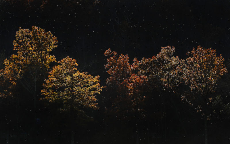 Il bello dell’autunno è fotografarlo - Il Post