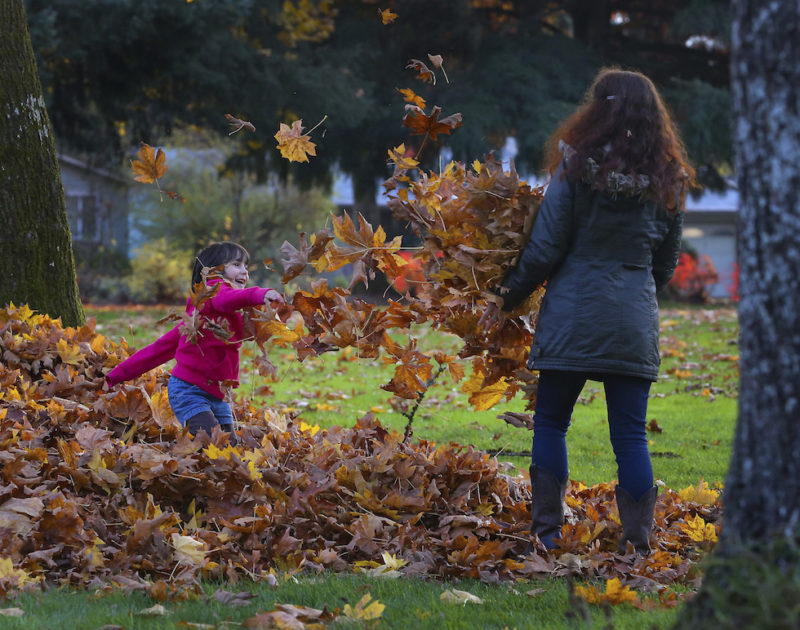 Il bello dell’autunno è fotografarlo - Il Post