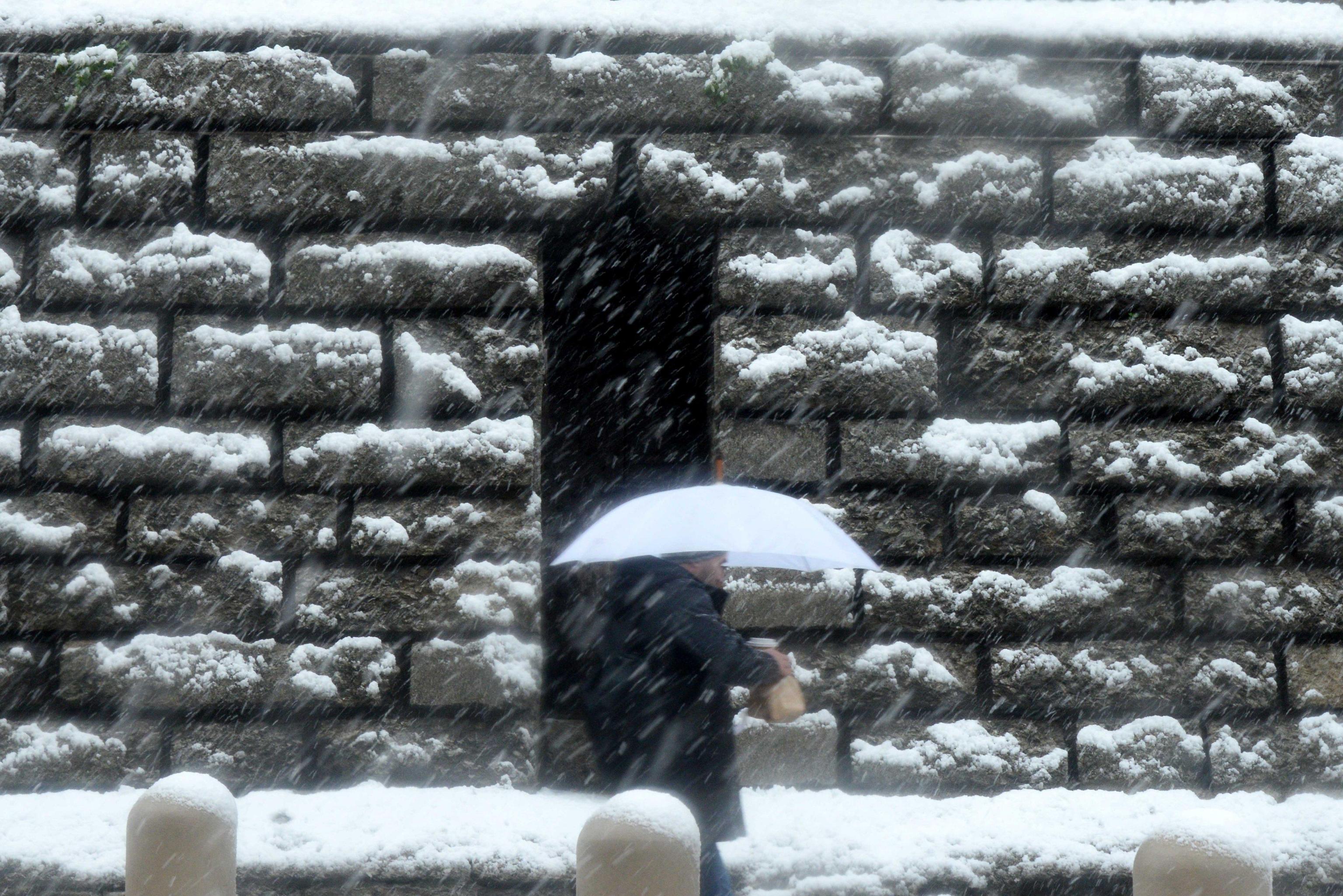 Le foto della neve a Bologna - Il Post