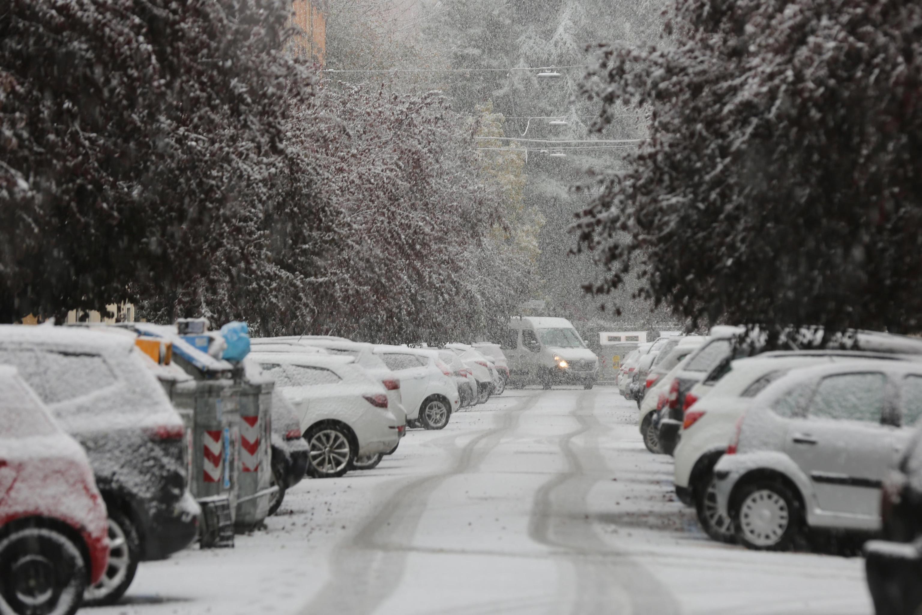 Le foto della neve a Bologna - Il Post