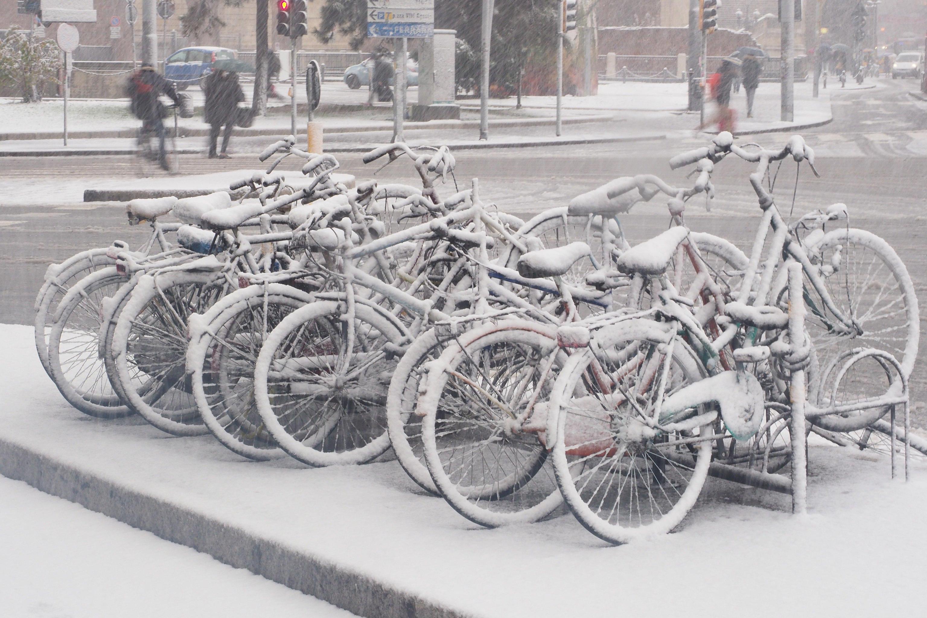 Le foto della neve a Bologna - Il Post