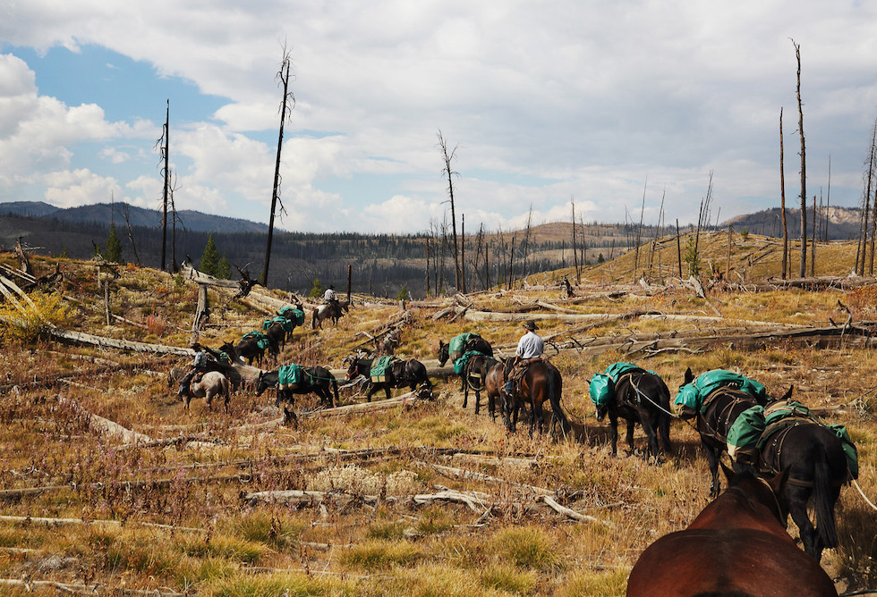 Cacciatori nel mondo - Il Post