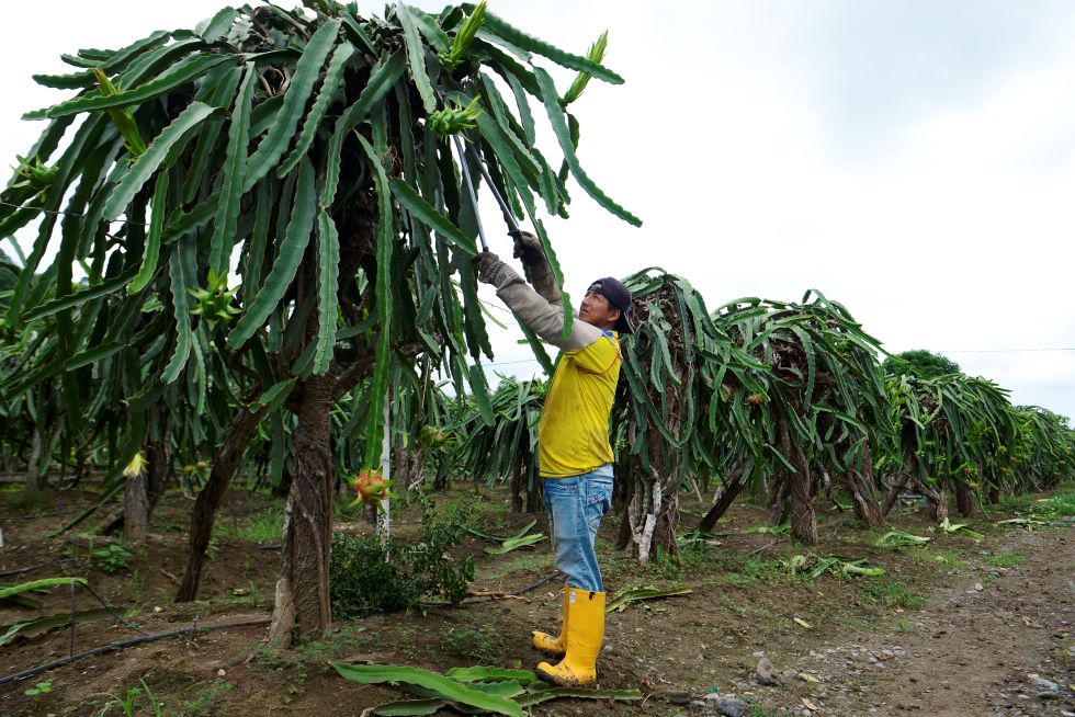 Mercoledì 11 marzo - Il Post