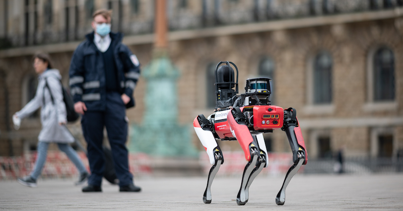 Cosa stiamo facendo fare ai “robot dog” - Il Post