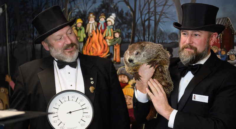 Quanto ci prende Phil la marmotta? - Il Post
