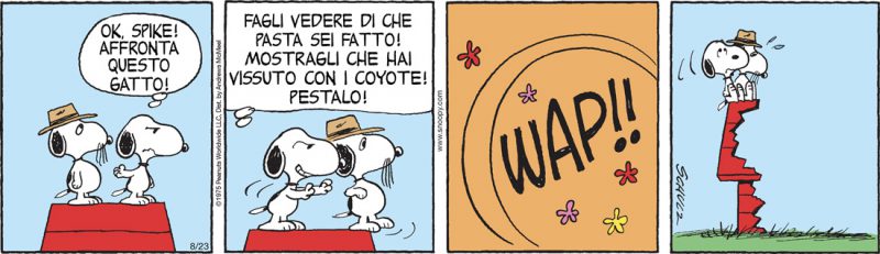 Peanuts - Le strisce di Snoopy e degli altri personaggi di Charles Schulz