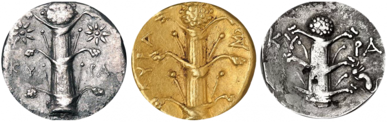 Una pianta che si pensava estinta dai tempi di Nerone forse non è ...