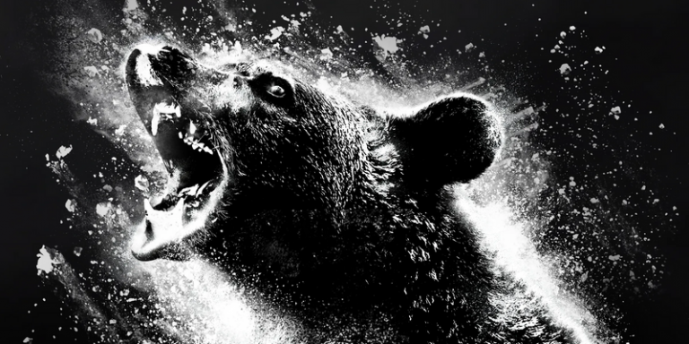 La storia dell'orso strafatto di cocaina da cui è stato tratto un film ...