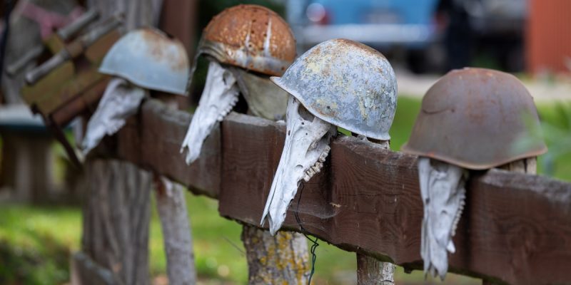 La Germania ha dichiarato illegale l'associazione neonazista ...