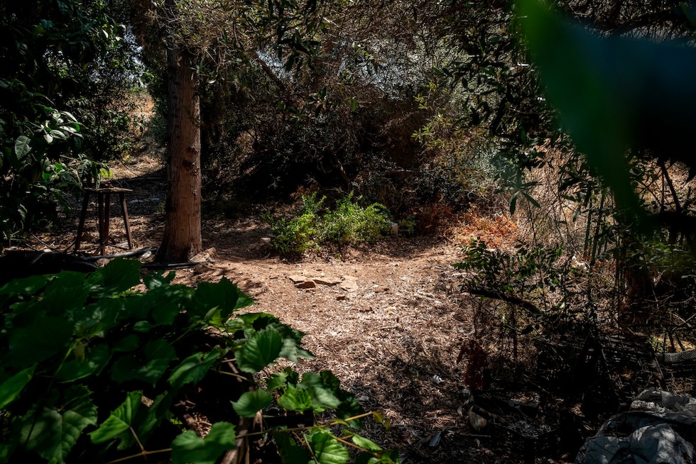 «Siete alawiti o sunniti?» - Il Post