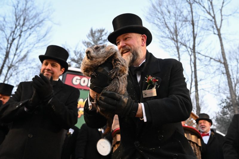 La marmotta Phil ha previsto altre sei settimane d’inverno